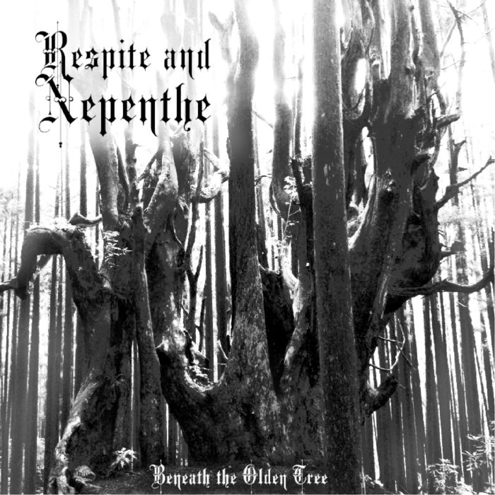 Beneath the Olden Tree | Respite and Nepenthe