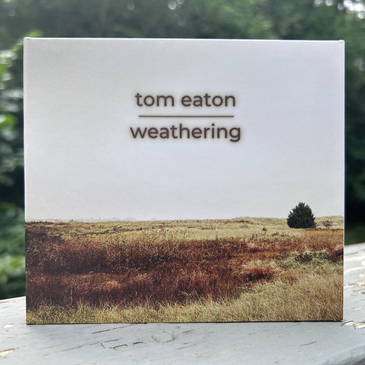 weathering (physical cd) | tom eaton