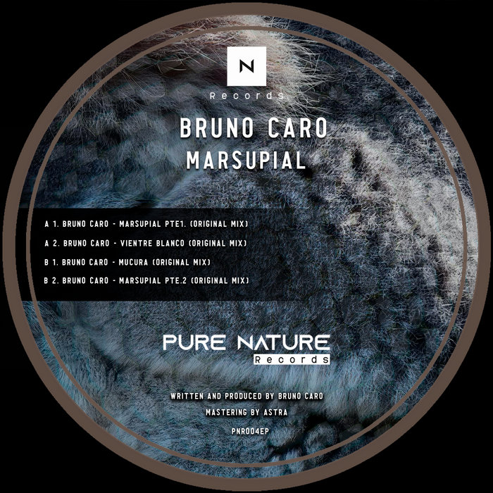 Marsupial | Bruno Caro | Pure Nature