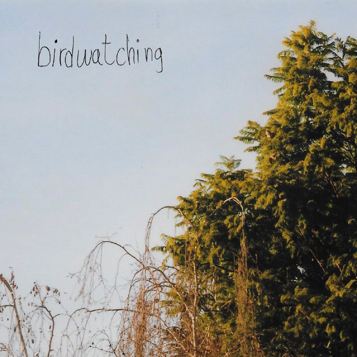 birdwatching | Scotty Walkinghere