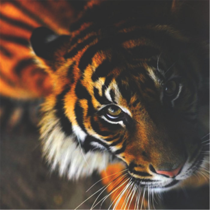 gta 5 on play store | gta v from play store