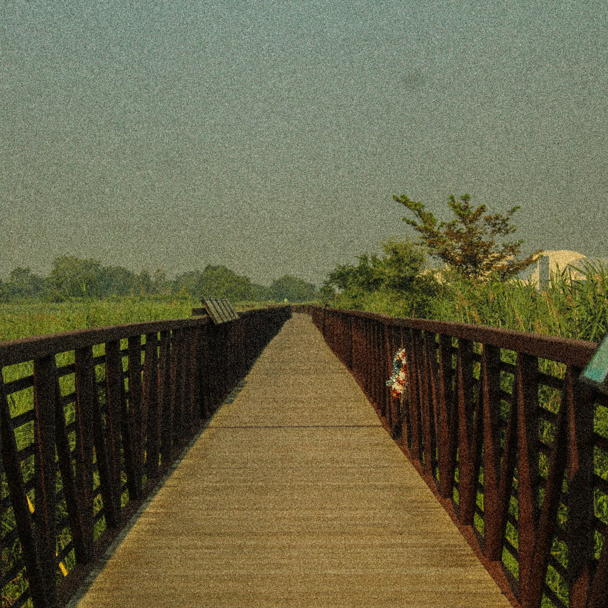 Flora Bridge | Torent