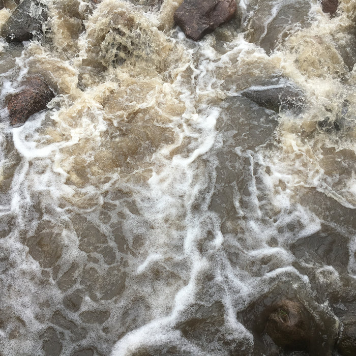 THE PRIMORDIAL OOZE | The Parts of the Body
