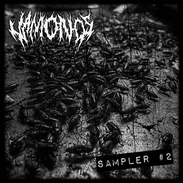 Vamonos Sampler #2 | Vamonos Records