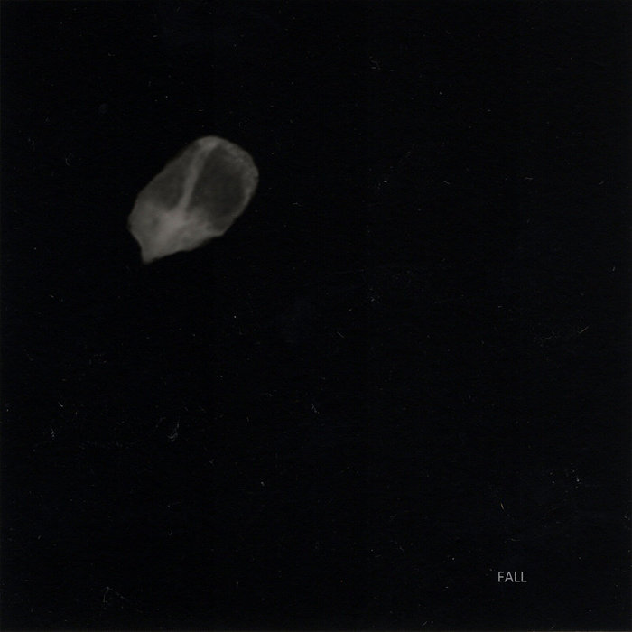 Fall | Glacis | glacis