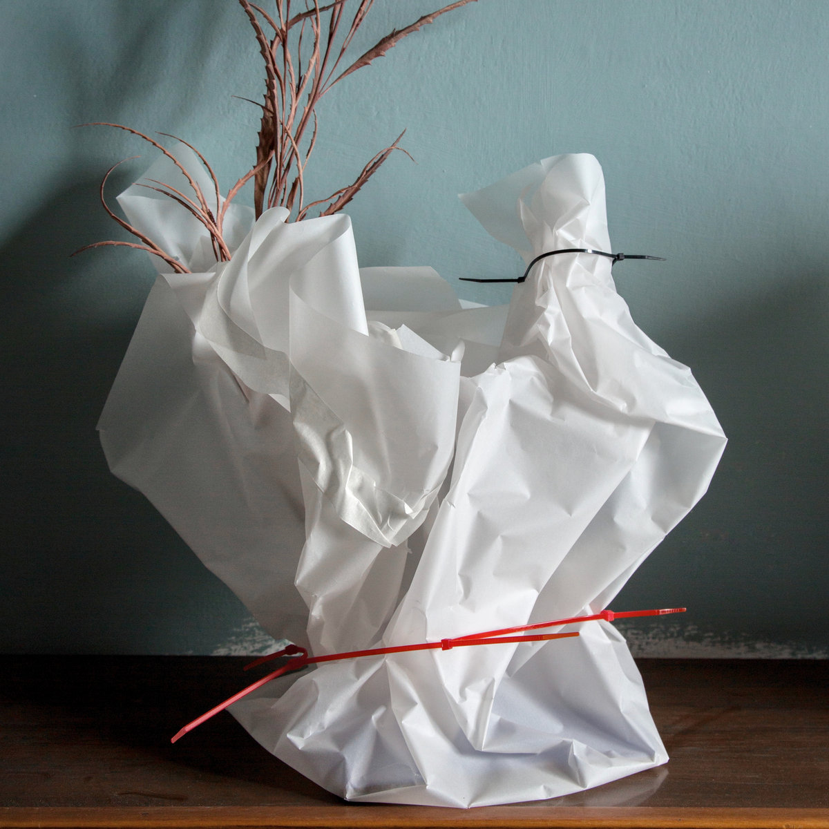 Ocean Letters | Hannah Schneider