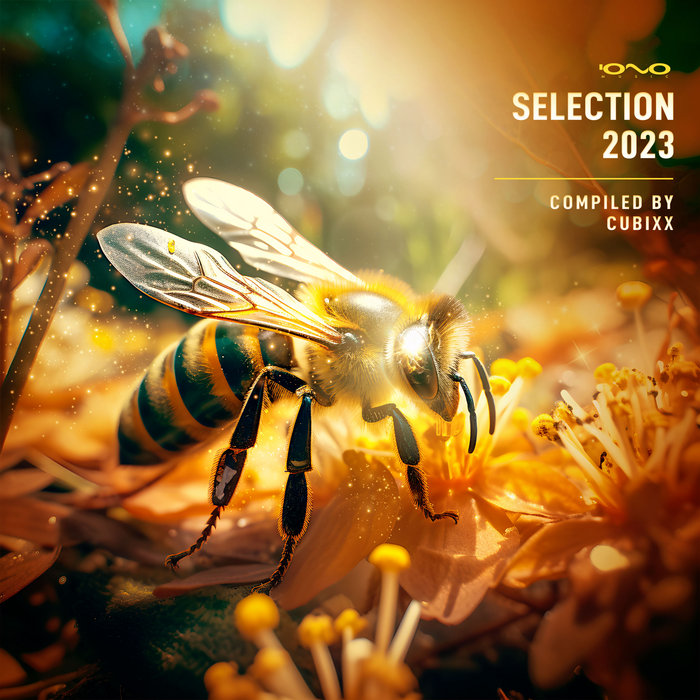 Selection 2023 - Compiled by Cubixx | Various Artists | IONO MUSIC