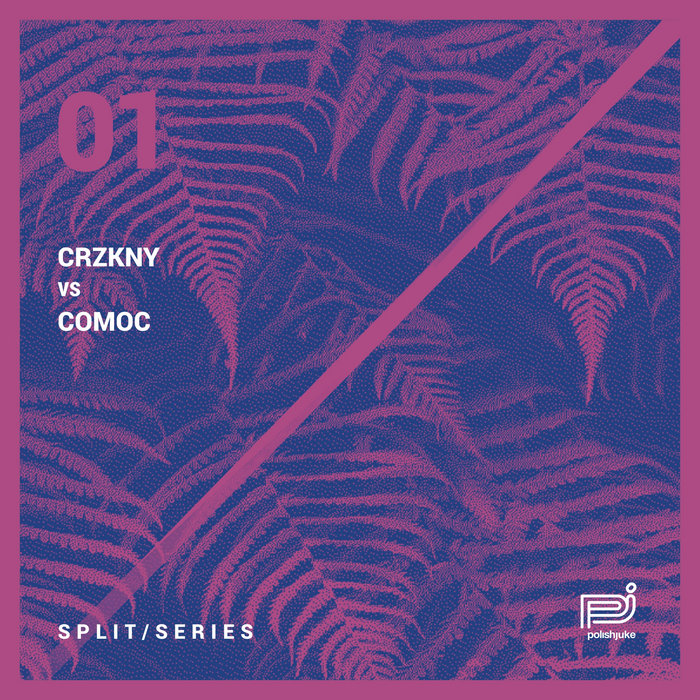 Polish Juke Split Series 01 | Polish Juke
