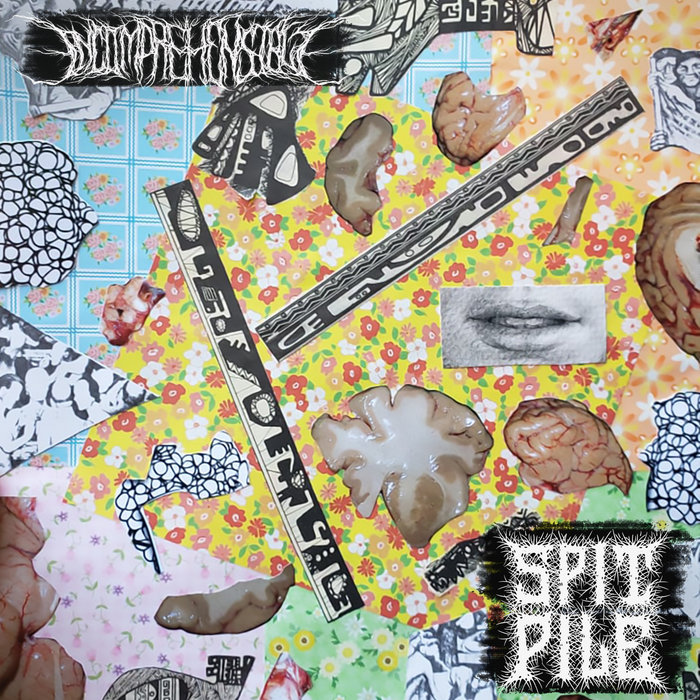 Split with Spit Pile | Incomprehensible