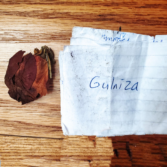 Gulniza | James Metelak