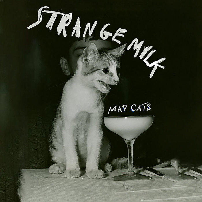 Mad Cats | Strange Milk
