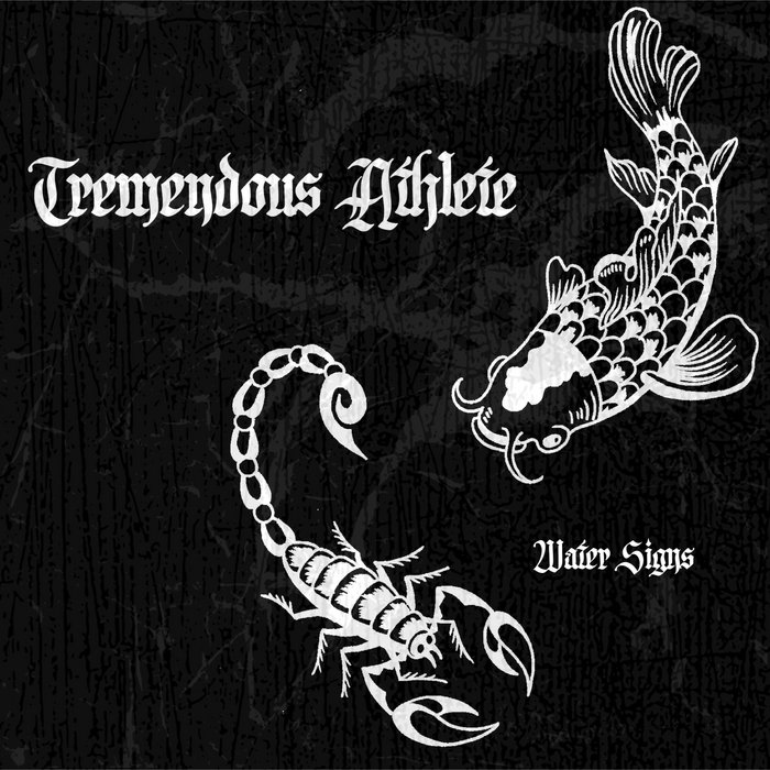 Water Signs | Tremendous Athlete