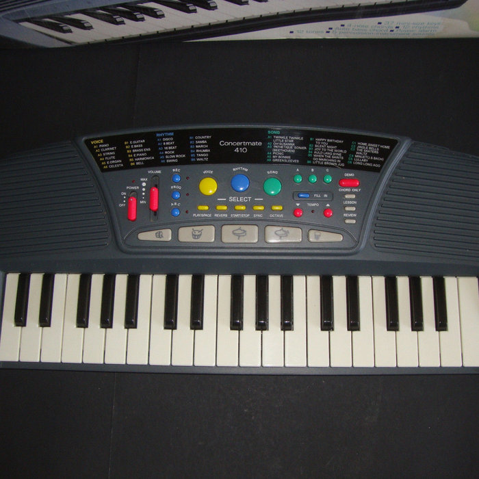 Realistic Concertmate 410 | Loscha