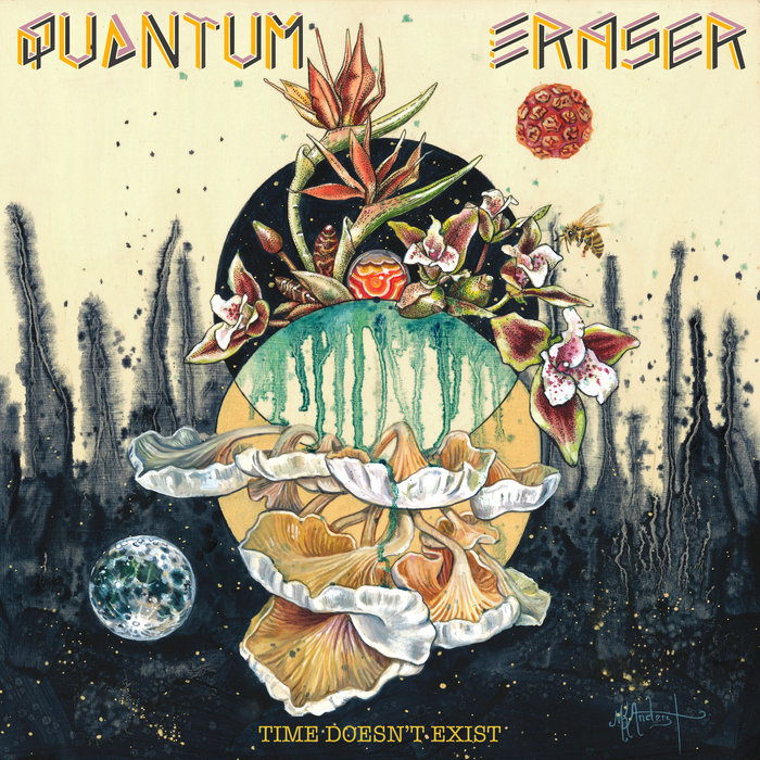 Time Doesn't Exist | Quantum Eraser