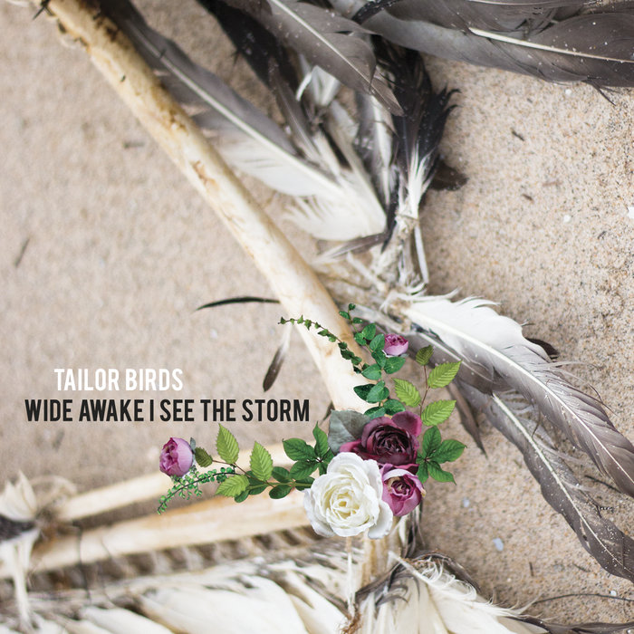 Wide Awake I See The Storm | Tailor Birds
