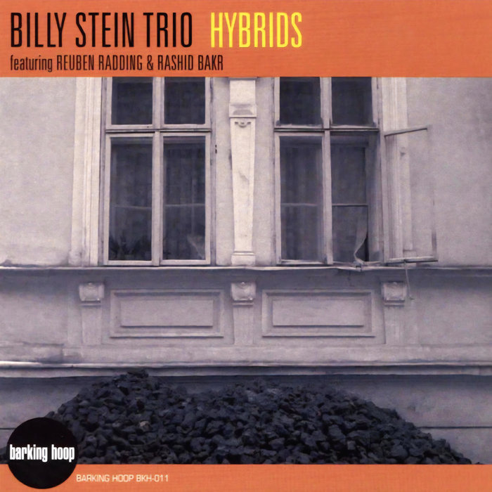 Hybrids - Billy Stein Trio | Billy Stein