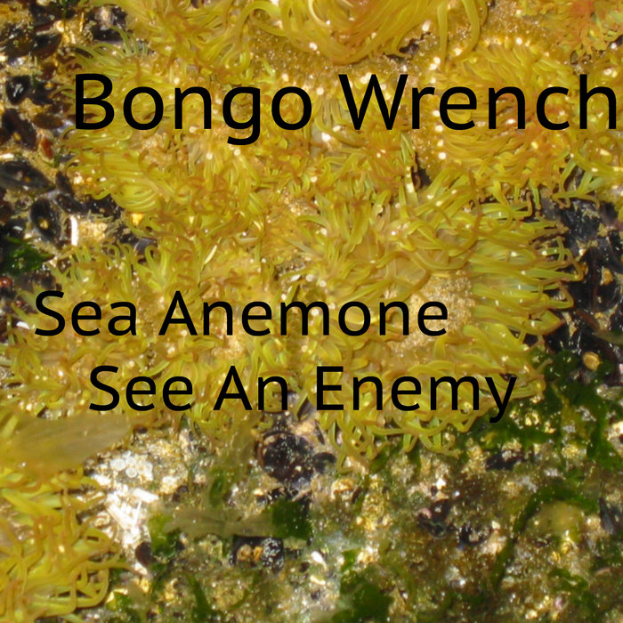 Sea Anemone, See an Enemy | Bongo Wrench | Kevin Andrews
