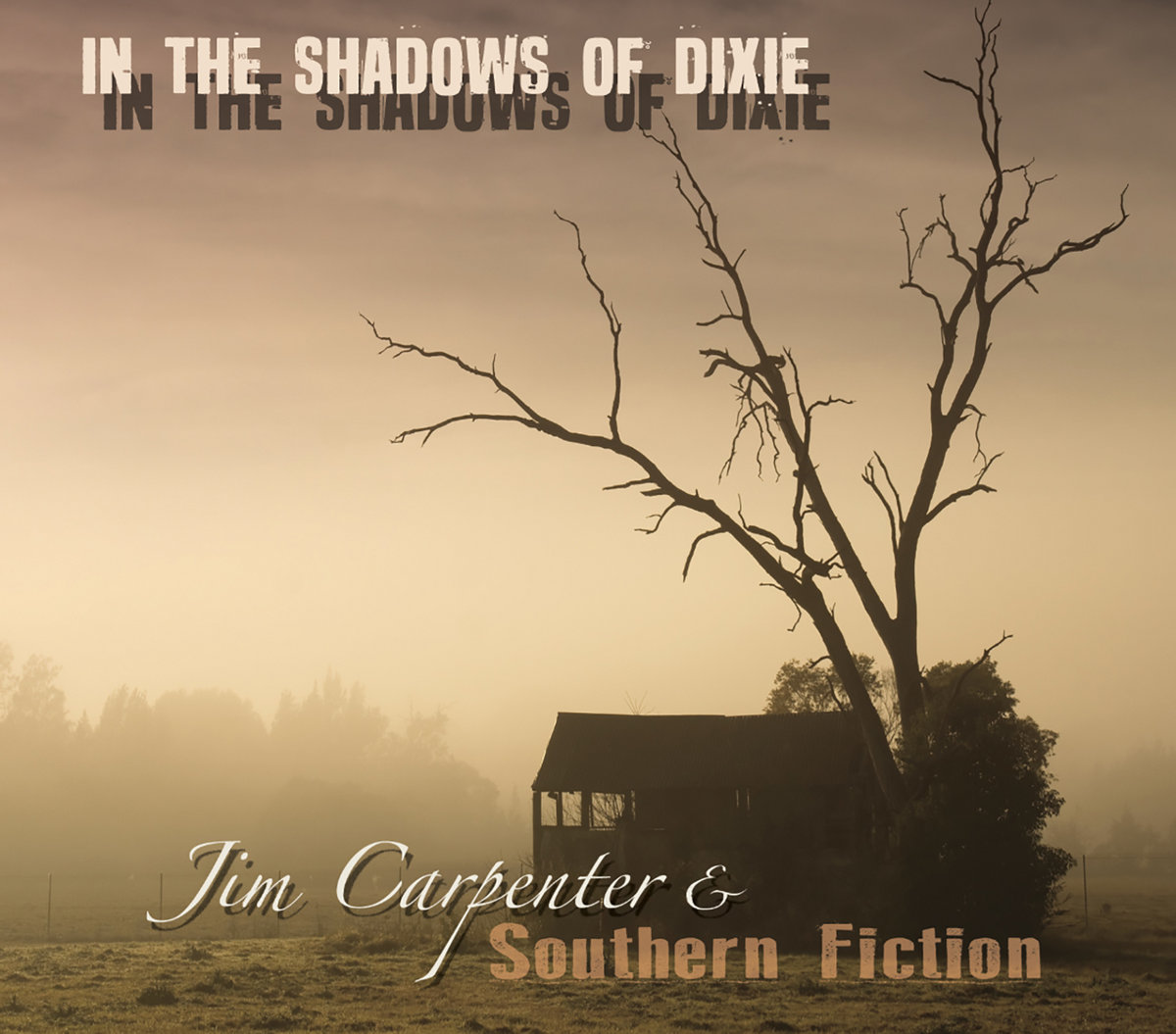In the Shadows of Dixie | Jim Carpenter