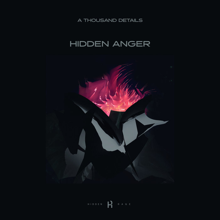 Hidden Anger | A Thousand Details | HIDDEN RAGE