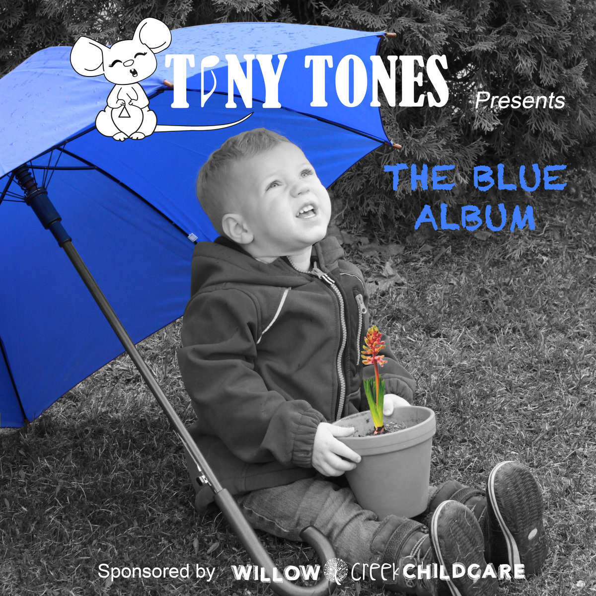 The Blue Album | Tiny Tones