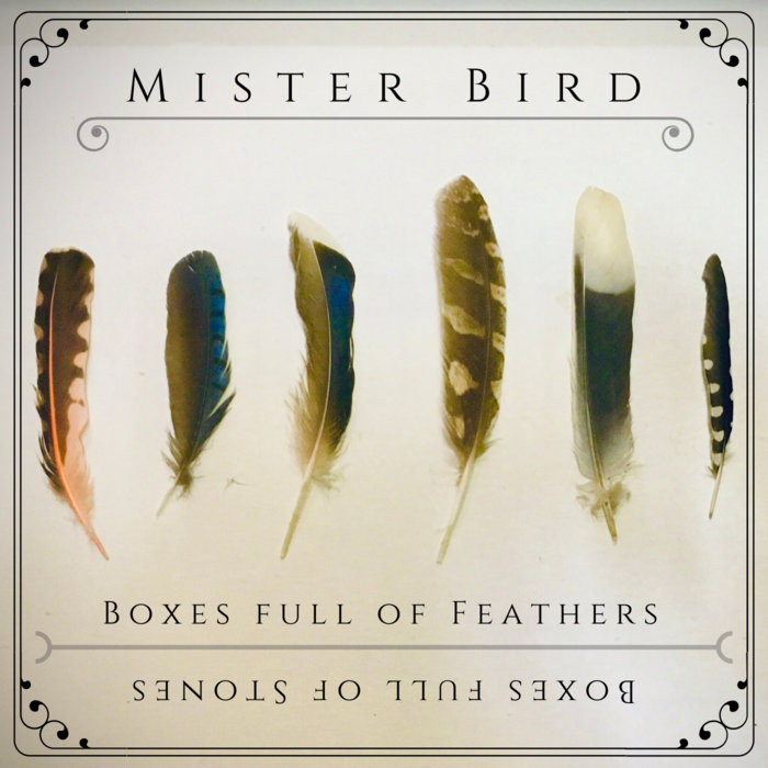Boxes full of feathers, Boxes full of stones | mister bird