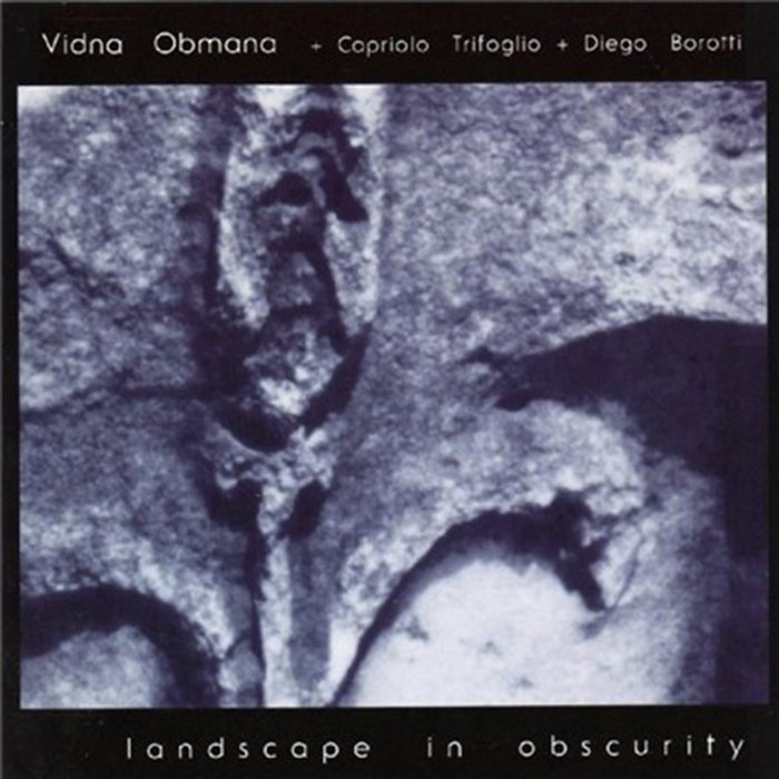 Landscape In Obscurity | Vidna Obmana