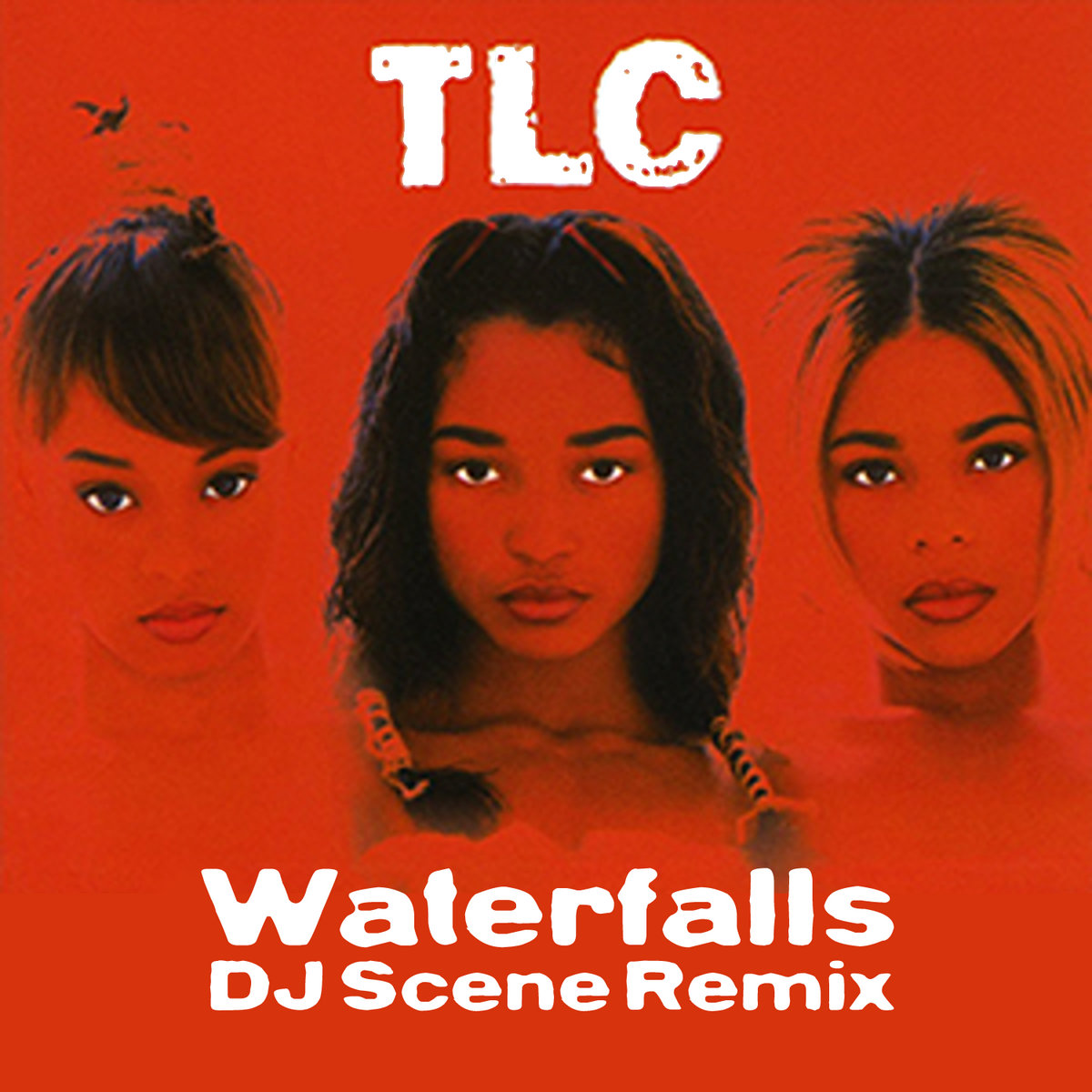 Waterfalls (DJ Scene Remix) 2025 | DJ Scene