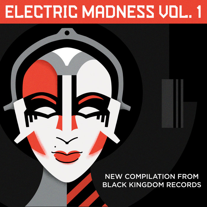 Electric Madness Vol. 1 | Various | Black Kingdom