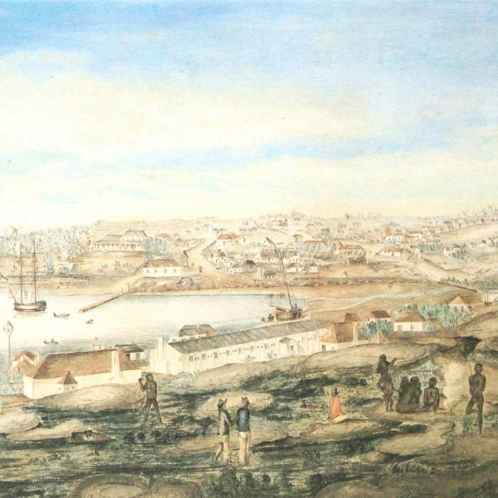 The Land | Doug Sham