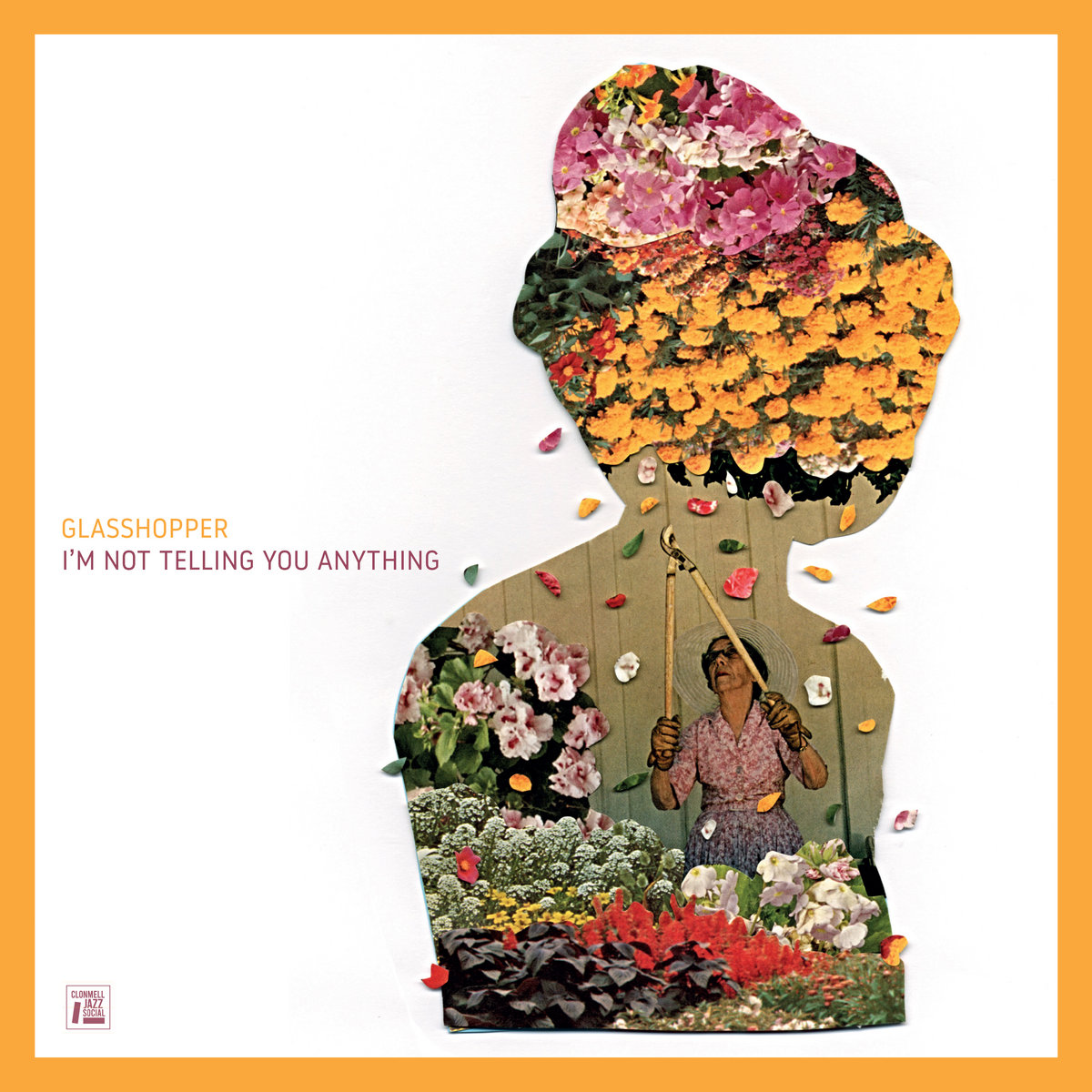 I'm Not Telling You Anything | Glasshopper