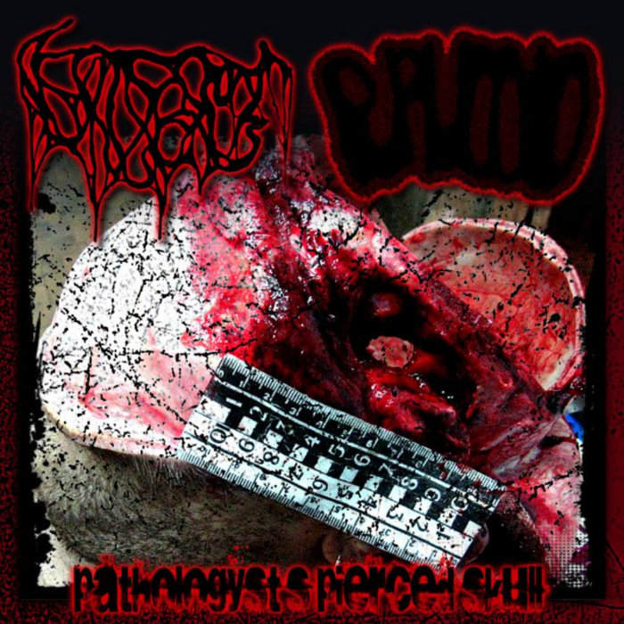 VxCxBxG / Puruloid Split | Puruloid, VxCxBxG | Puruloid