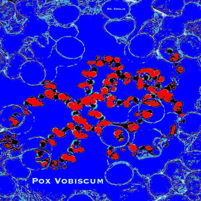 Pox Vobiscum | Mr. Smolin