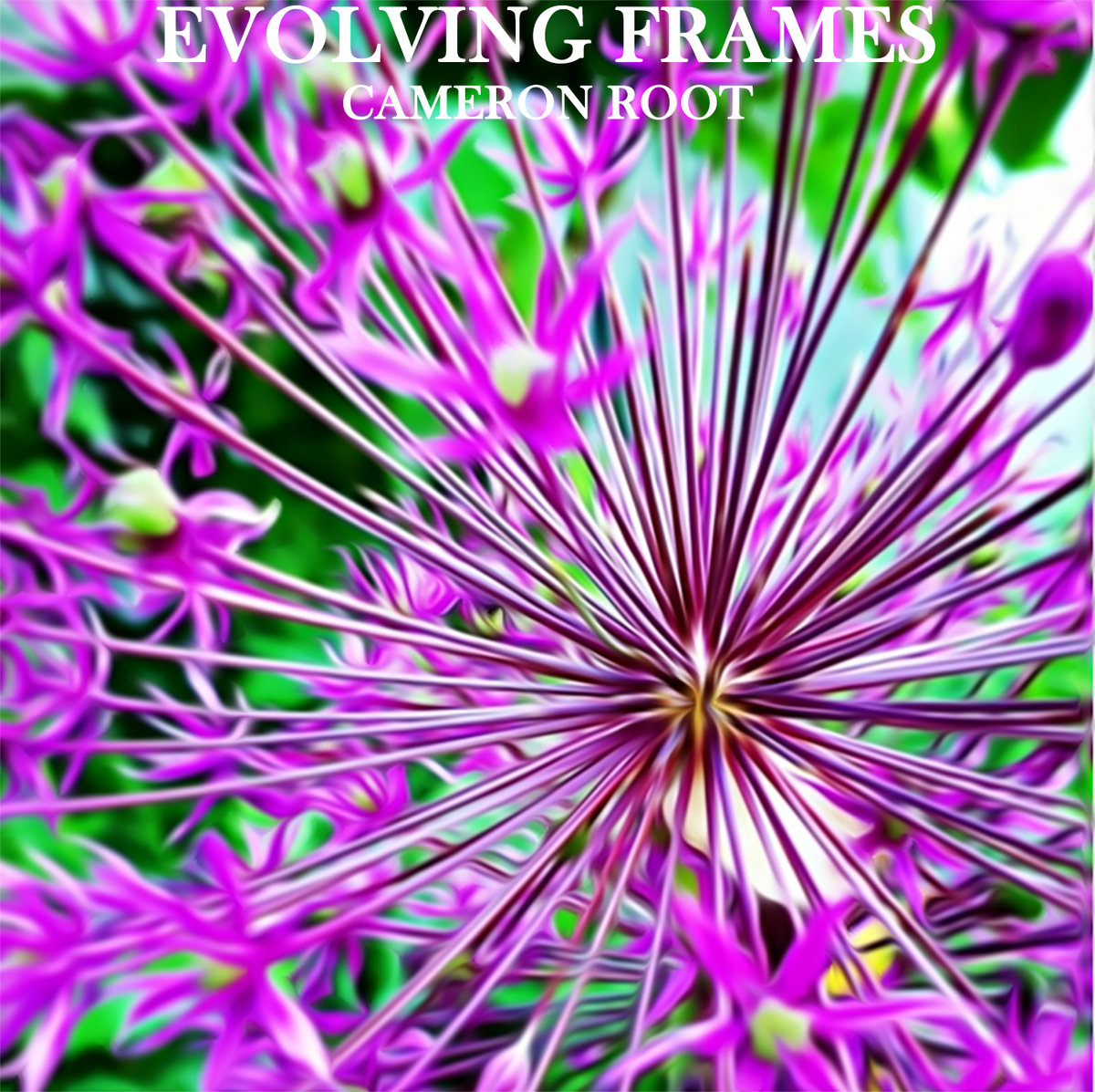 Evolving Frames (2016) | Cameron Root