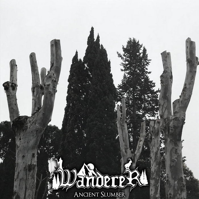 Ancient Slumber | Wanderer