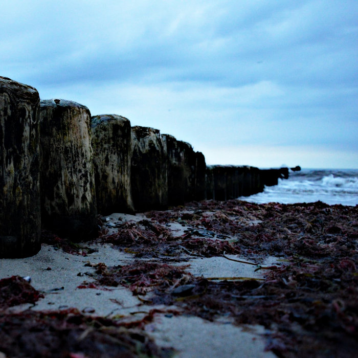 Dead Shores | Dead Shores