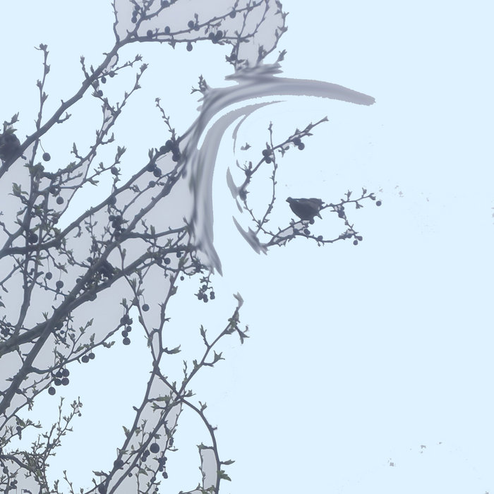 Der' så Mange Ting | Birds And Robotics