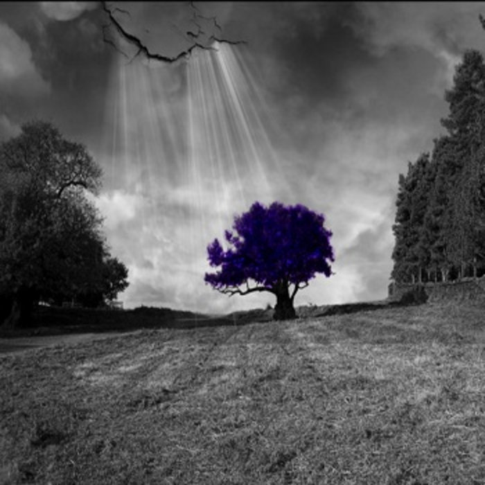 Carry On | State Of silence | State of silence