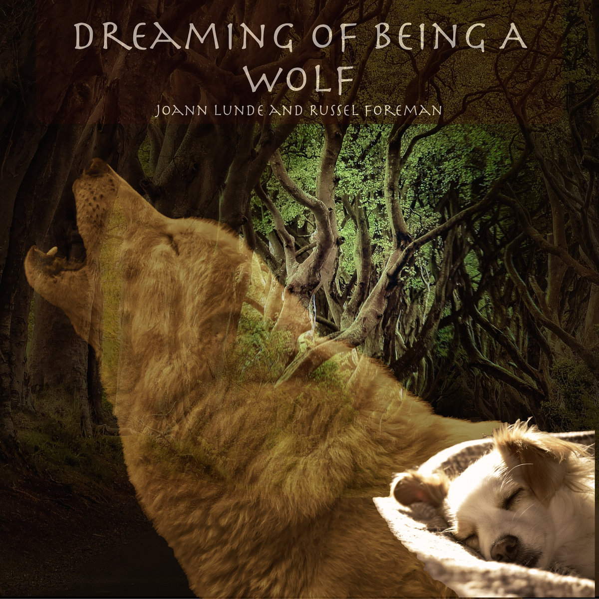 Dreaming of Being a Wolf | Russel Foreman and Joanne Lunde | Russ Foreman