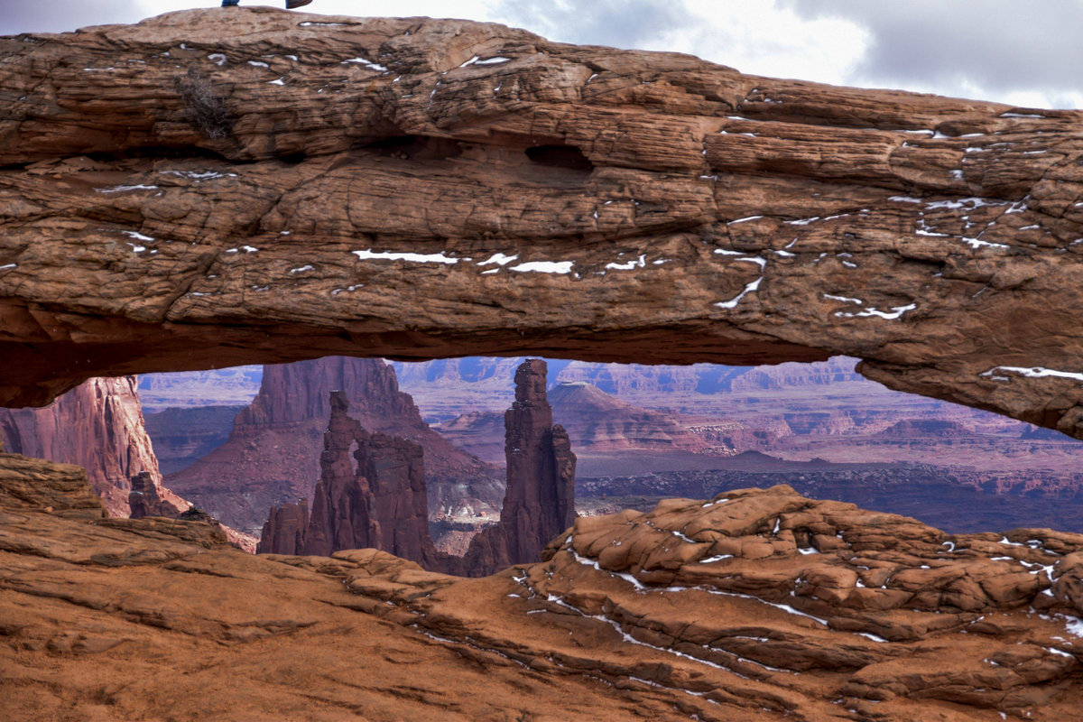 the never ending mystery | project novelty overload