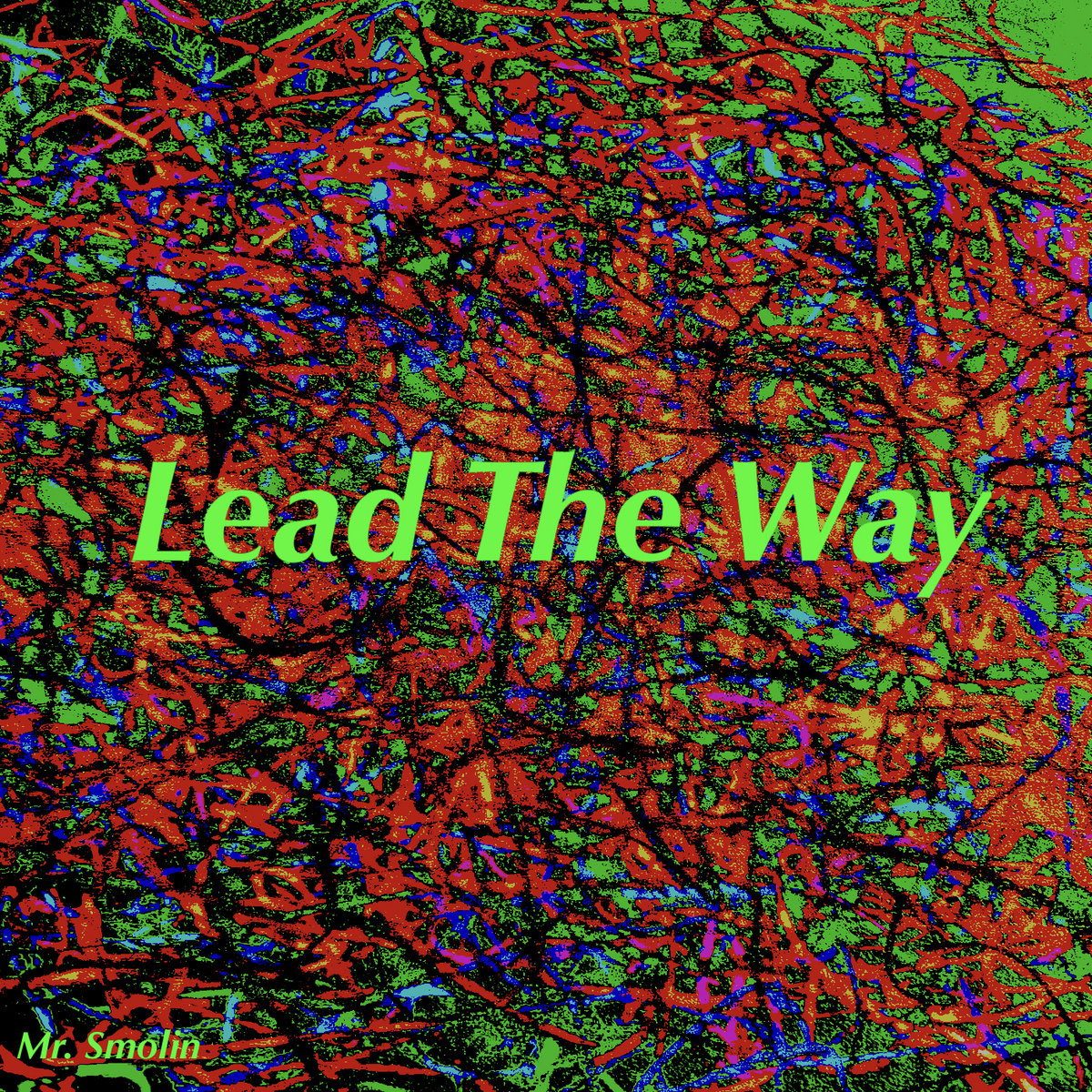 Lead The Way | Mr. Smolin