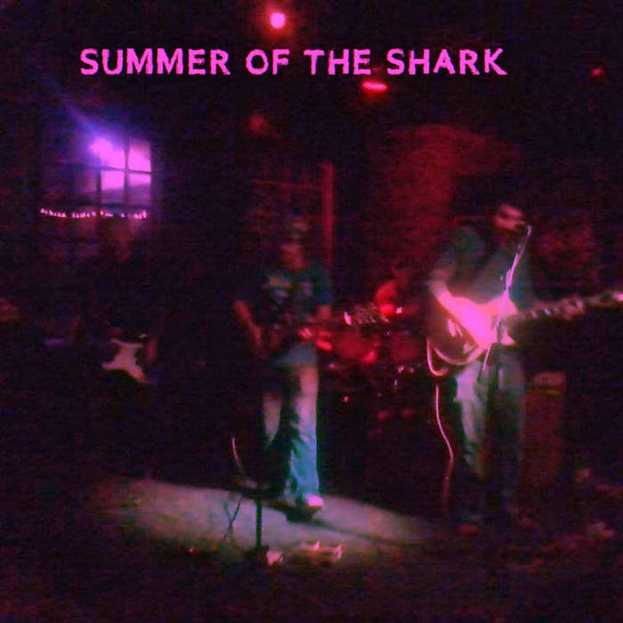 Summer of the Shark | Summer of the Shark