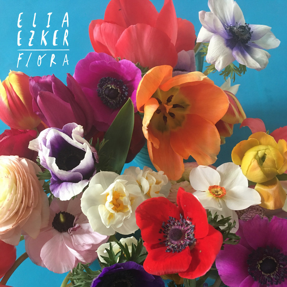 Flora | Elia Ezker