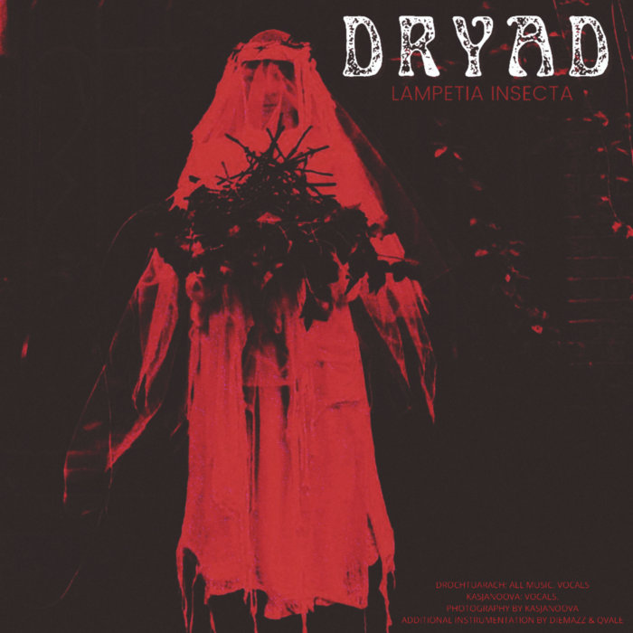 Lampetia Insecta | Dryad | Drochtuarach