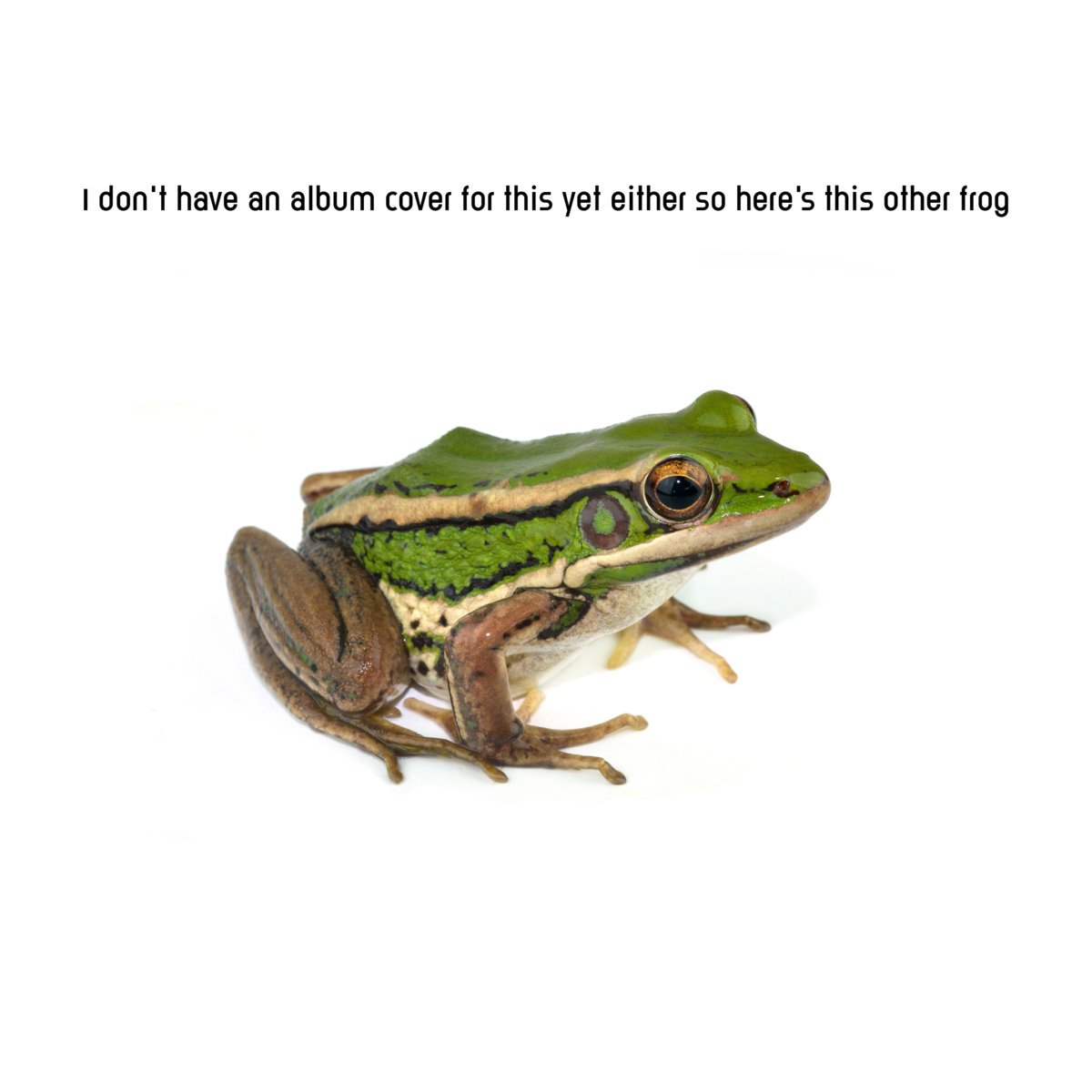 joke demos | awesome coolade