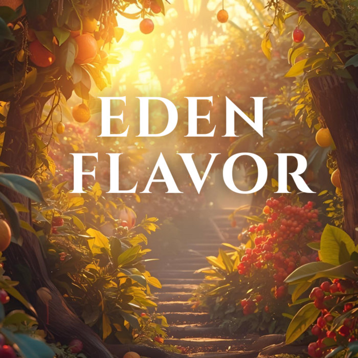 【FREE BGM】Eden Flavor｜Chill House | modus | modus/FREE BGM