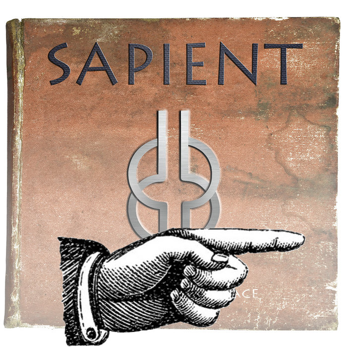 Sapient Excerpts | chezworks