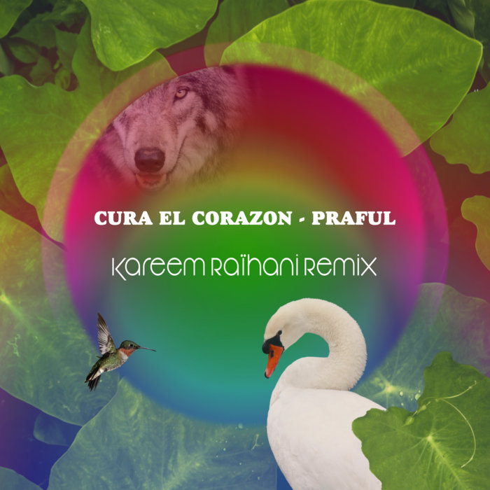 Kareem Raïhani Remixing Praful | Kareem Raïhani