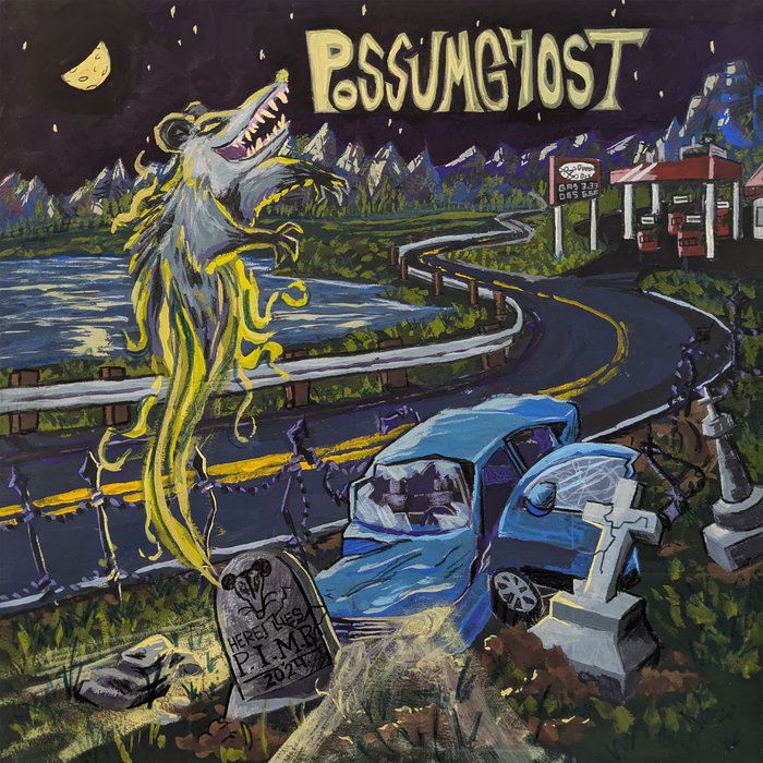 POSSUMGHOST | possum in my room