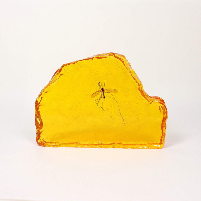 Another Bug Trapped in Amber | Tangerine Overload