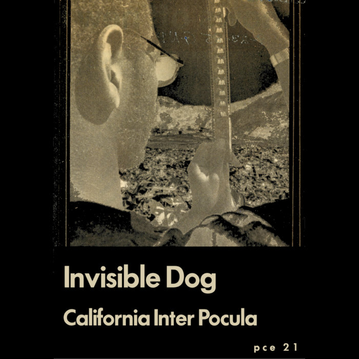 California Inter Pocula | Invisible Dog